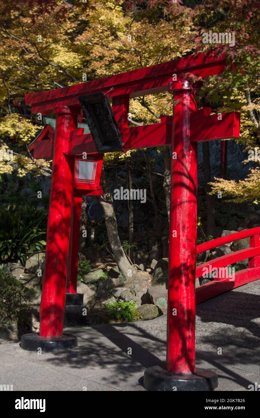 A, traditional, Japanese, bridge, hidden, amongst, Autumnal, foliage ...