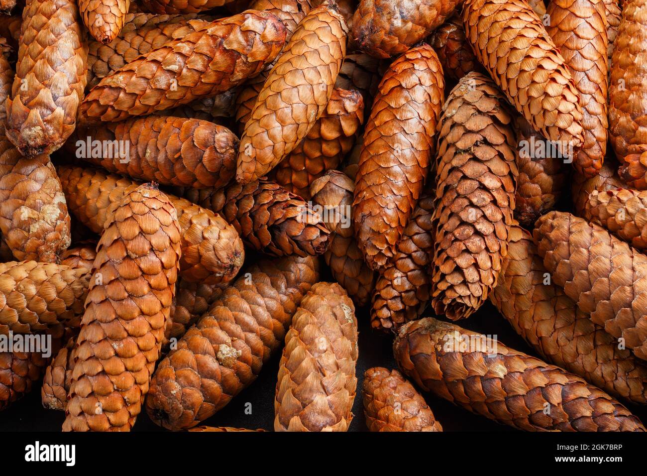 pile of fir cones - full frame close-up spruce background, all in focus ...
