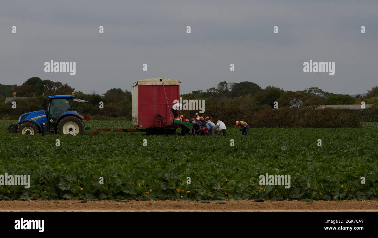 Harvesting rig hi-res stock photography and images - Alamy