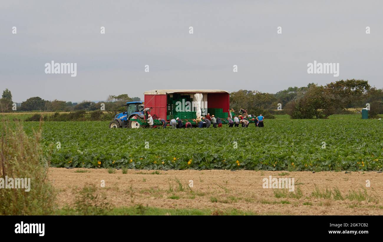 Harvesting rig hi-res stock photography and images - Alamy