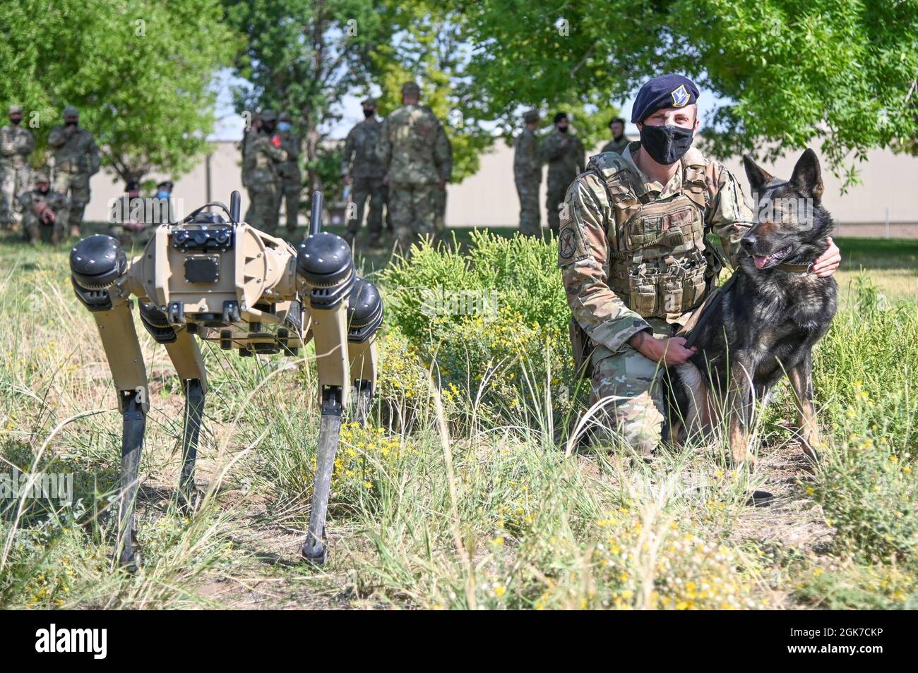 Military working dog Jimo and handler Senior Airman Alex MacMillan ...