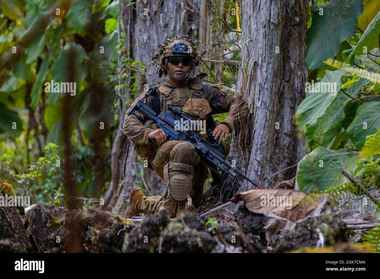 Soldiers assigned to 2nd Battalion, 35th Infantry Regiment, 3rd ...
