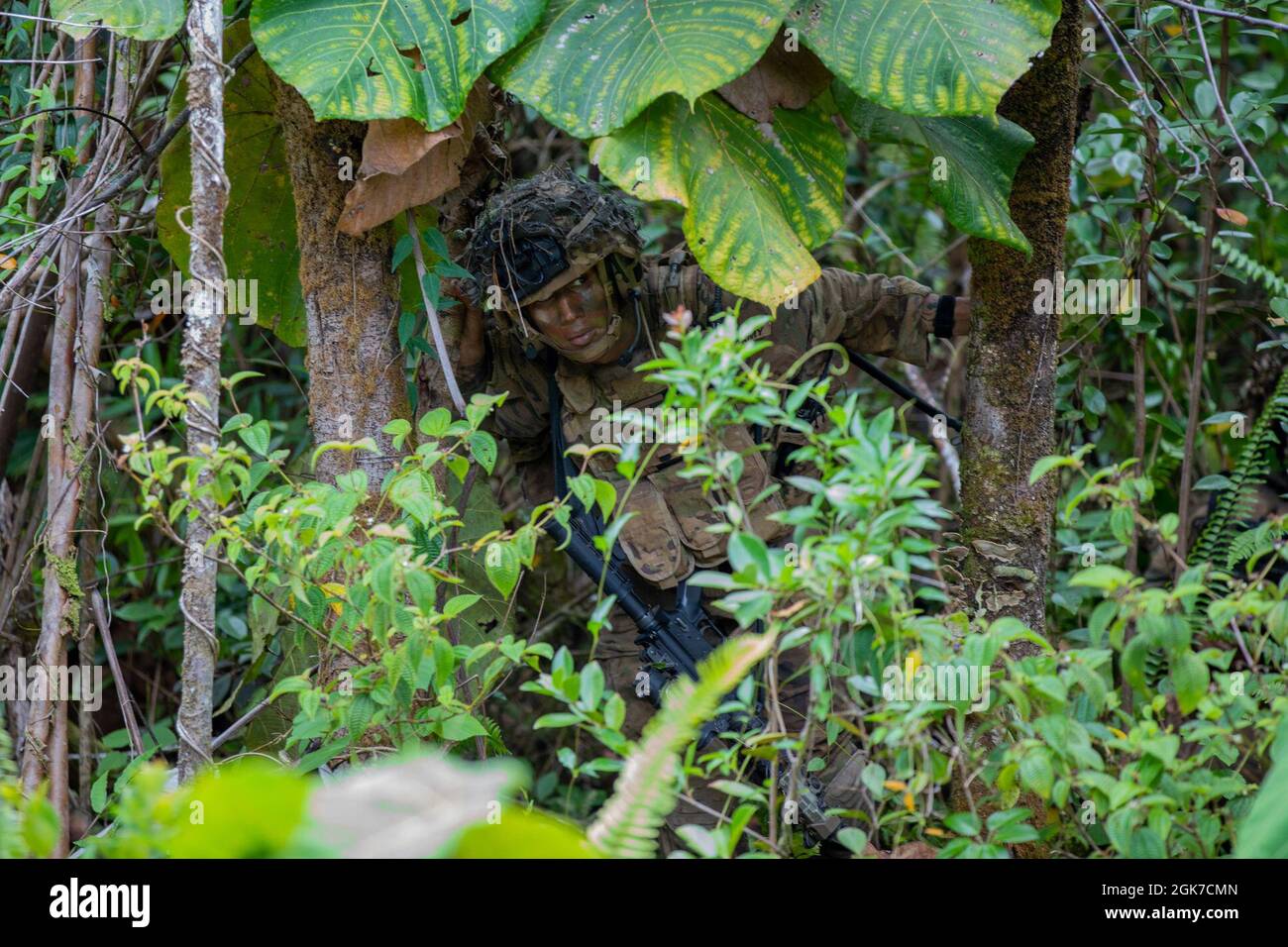 Soldiers assigned to 2nd Battalion, 35th Infantry Regiment, 3rd ...
