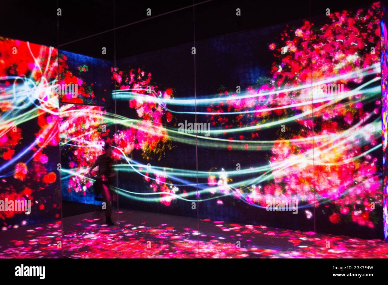 People silhouetted by the extraordinary light displays at the Team Lab ...