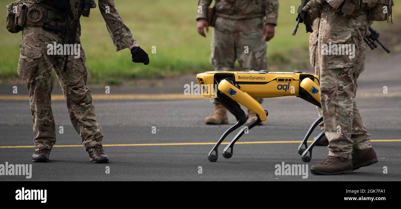 Boston dynamics spot raf hi-res stock photography and images - Alamy