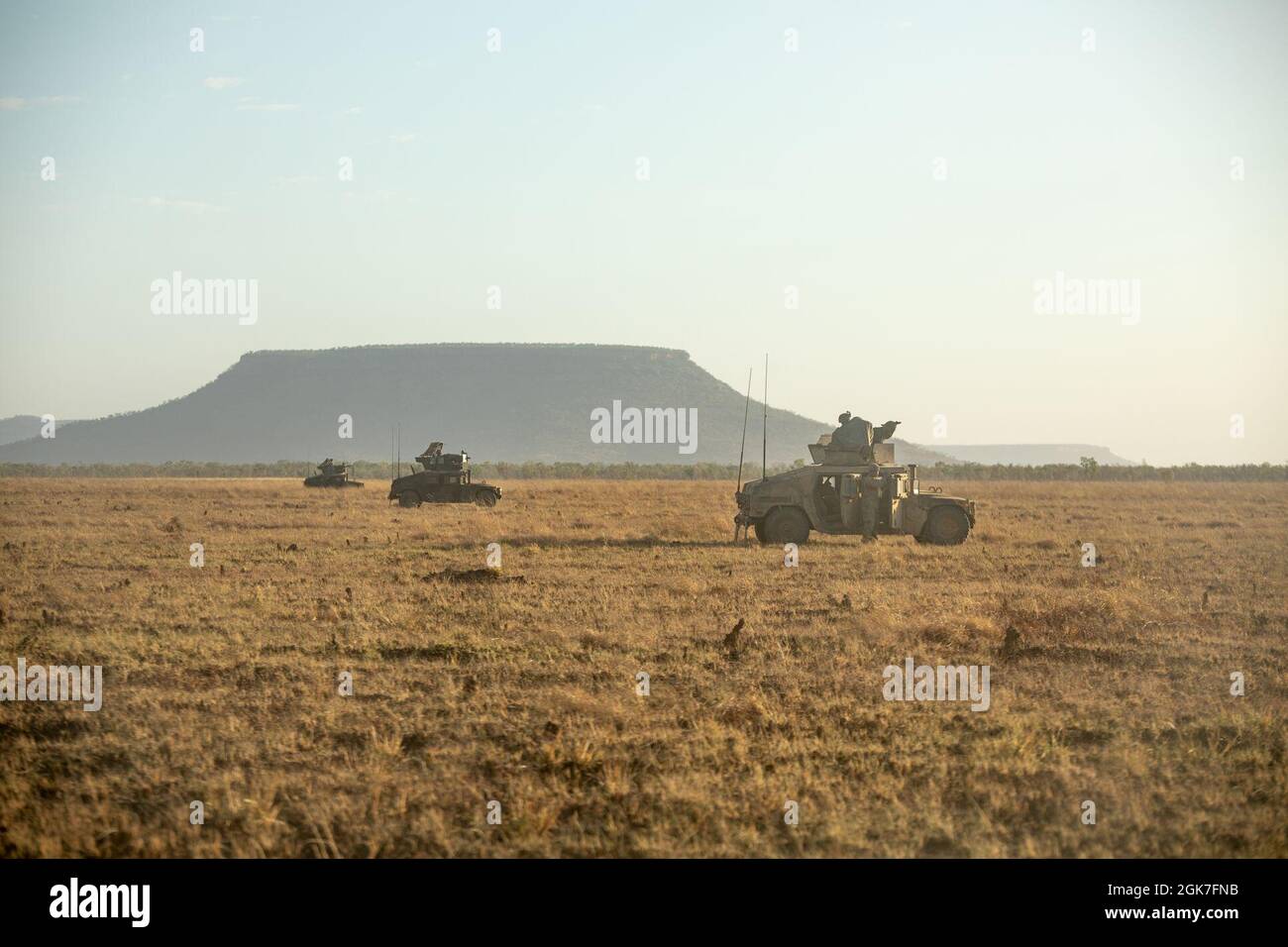 Caat red hi-res stock photography and images - Alamy