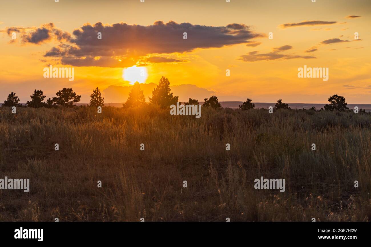 sun setting on the Montana high plateaus with sage in the foreground ...