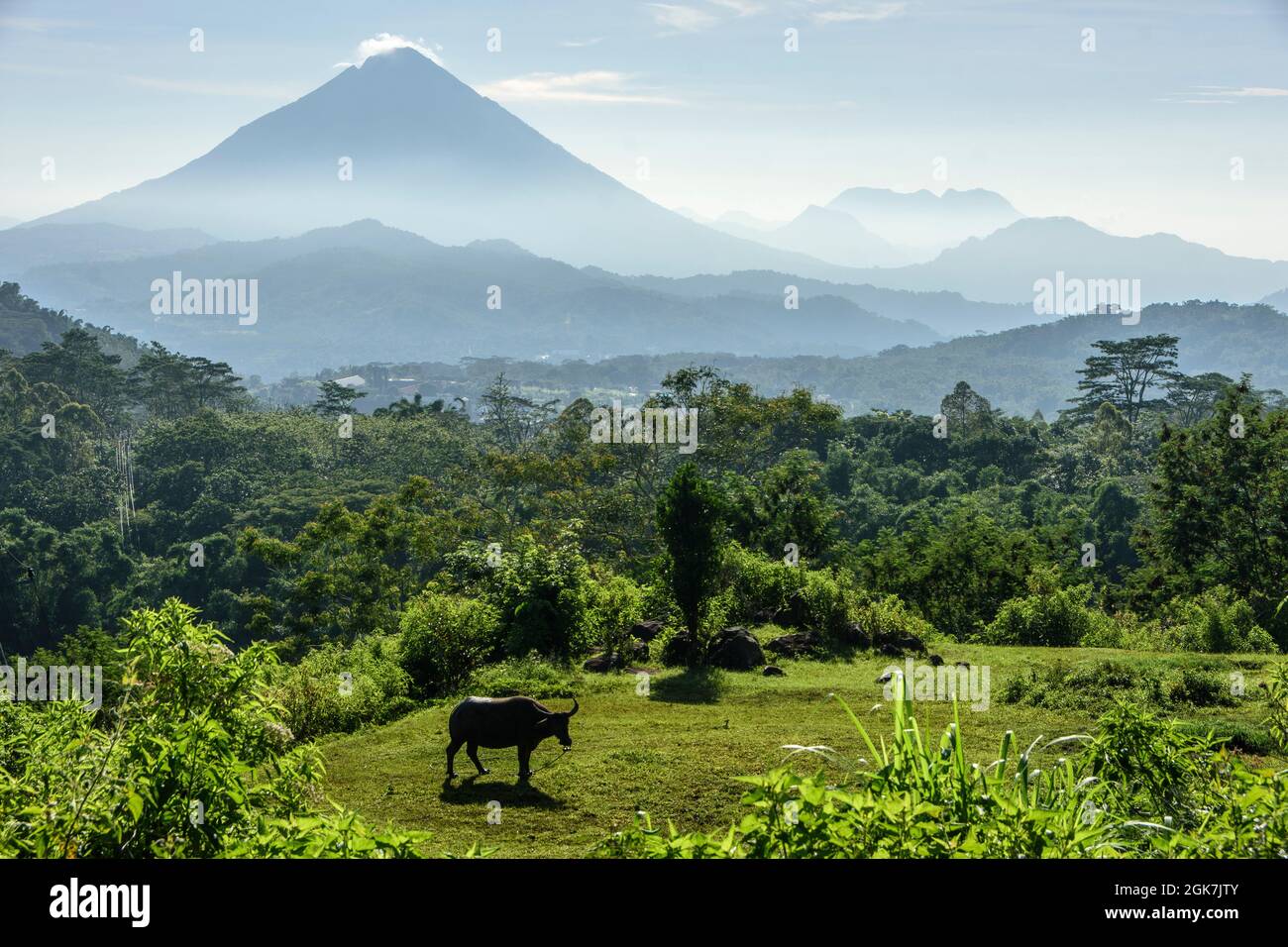 The conical Ebulobo volcano in the morning mist in south-central part ...