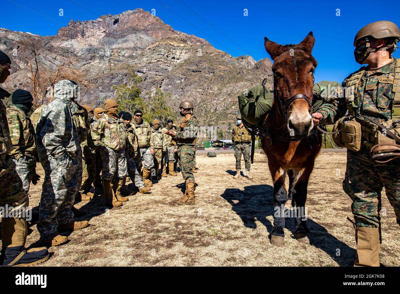 2021 blanco hi-res stock photography and images - Alamy