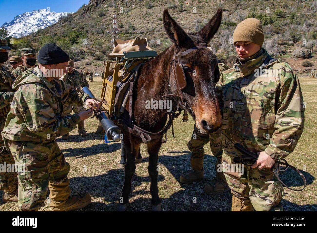 2021 blanco hi-res stock photography and images - Alamy