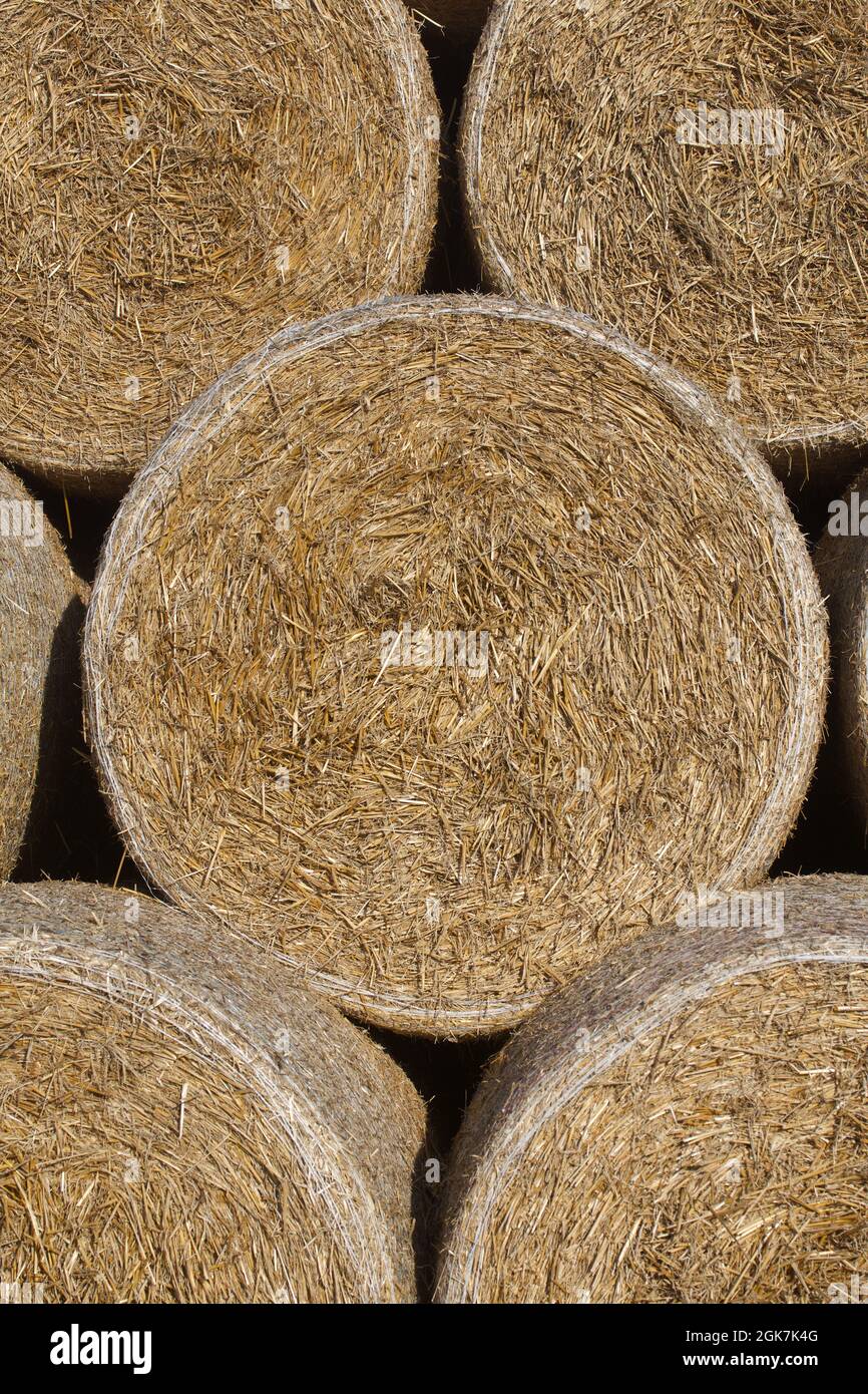 Straw rolls, stacked in a pyramid. Close-up shot Stock Photo - Alamy