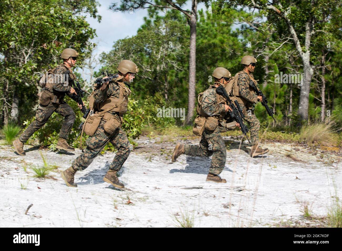 Usmc infantry hi-res stock photography and images - Alamy