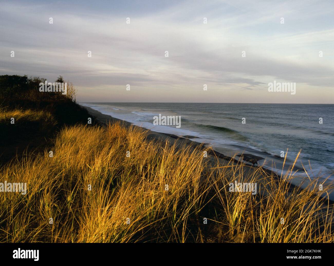 Cape cod beach overlook hi-res stock photography and images - Alamy