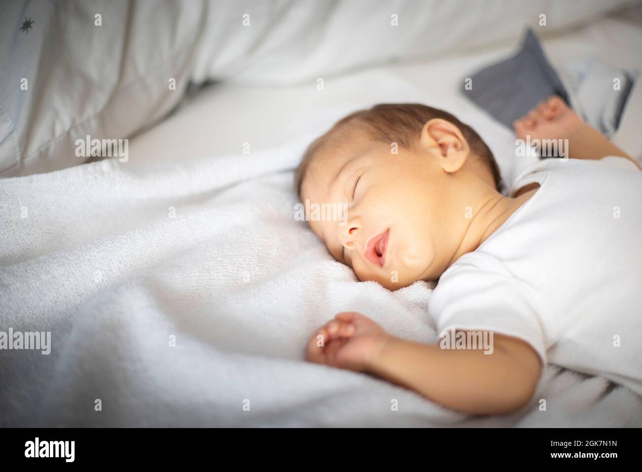 Grey sleeping back hi-res stock photography and images - Alamy