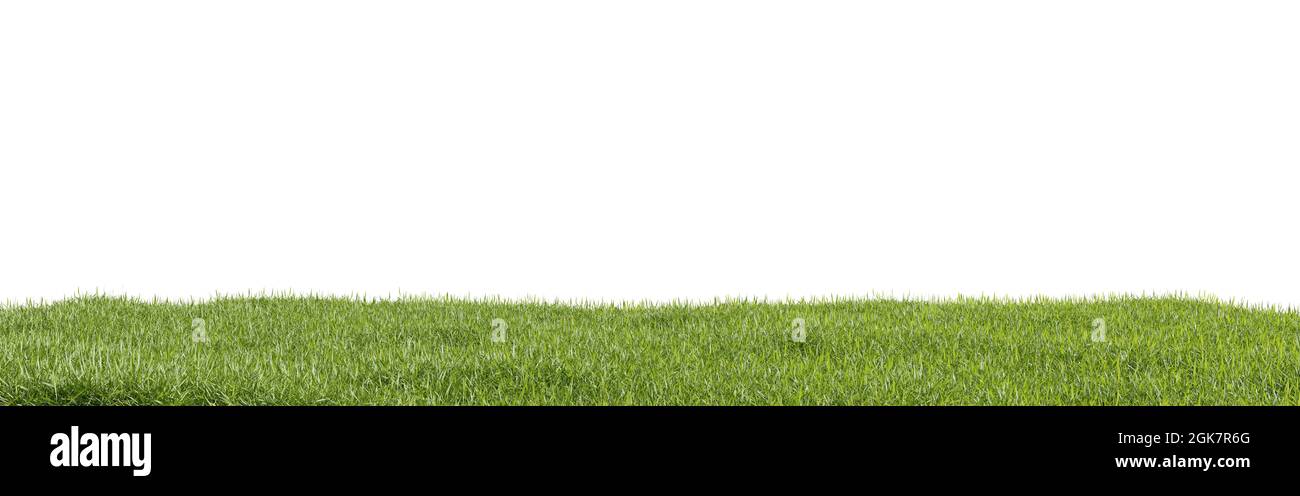 Photorealistic grass hill on a white background, 3d rendering Stock ...