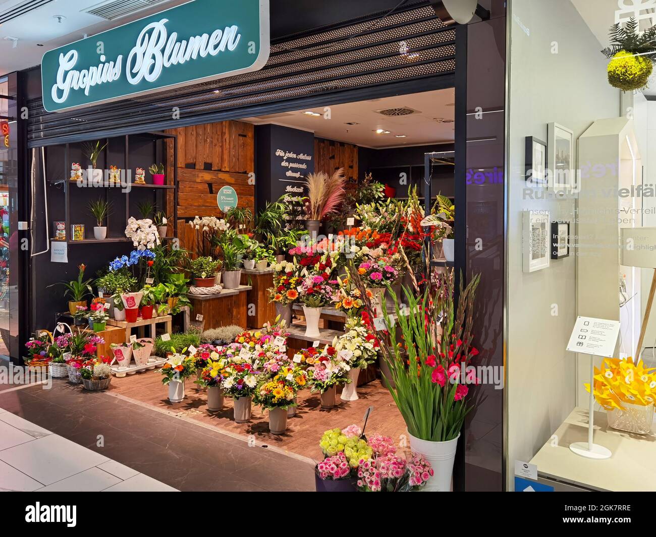 Berlin, Germany - September 1, 2021: Shop window of a store in the ...