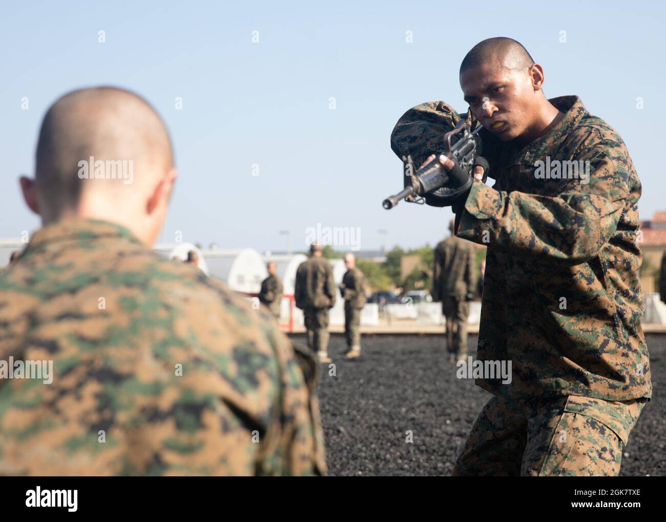 Muzzle grab hi-res stock photography and images - Alamy