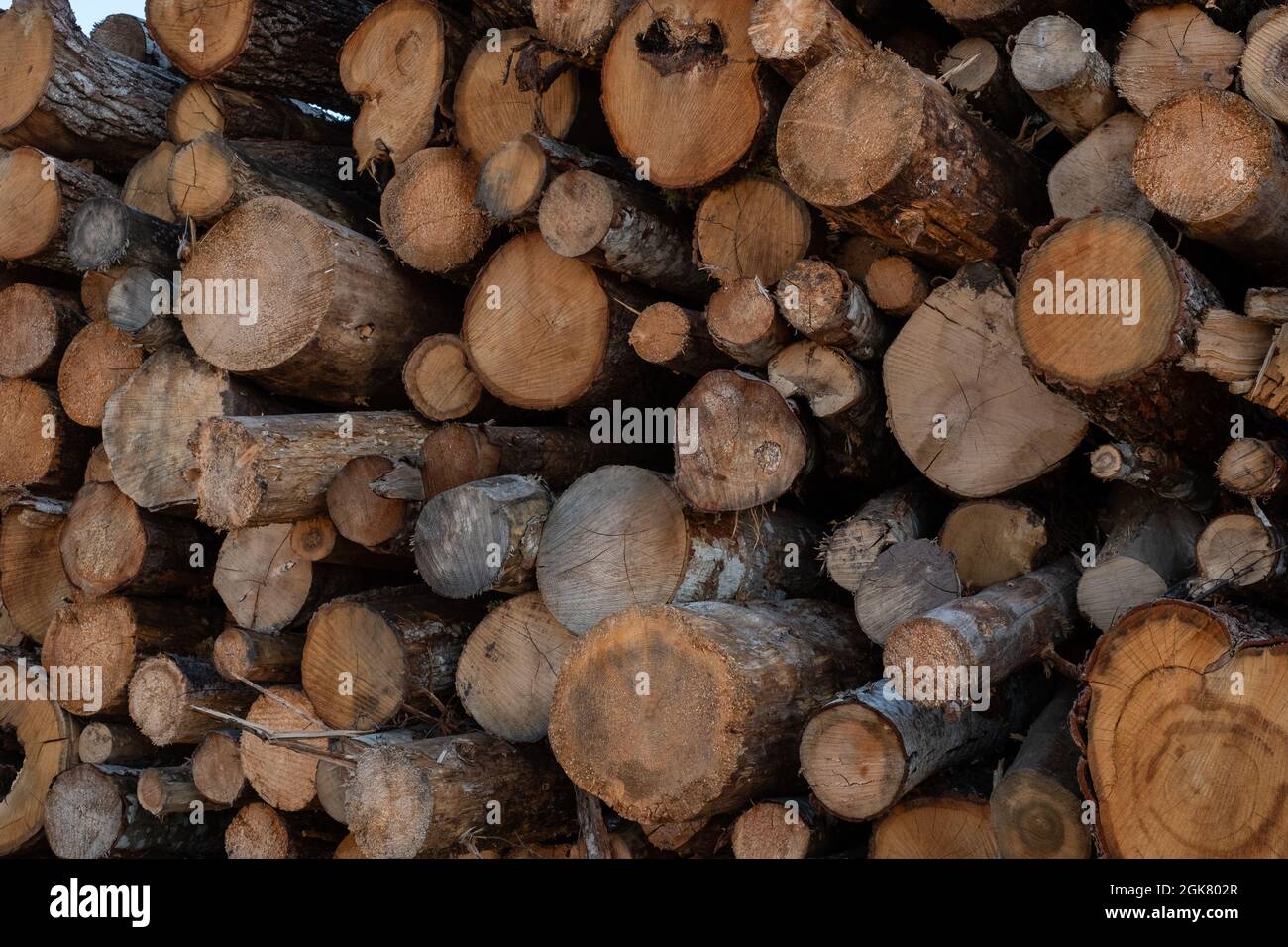 Timber wood log hi-res stock photography and images - Alamy