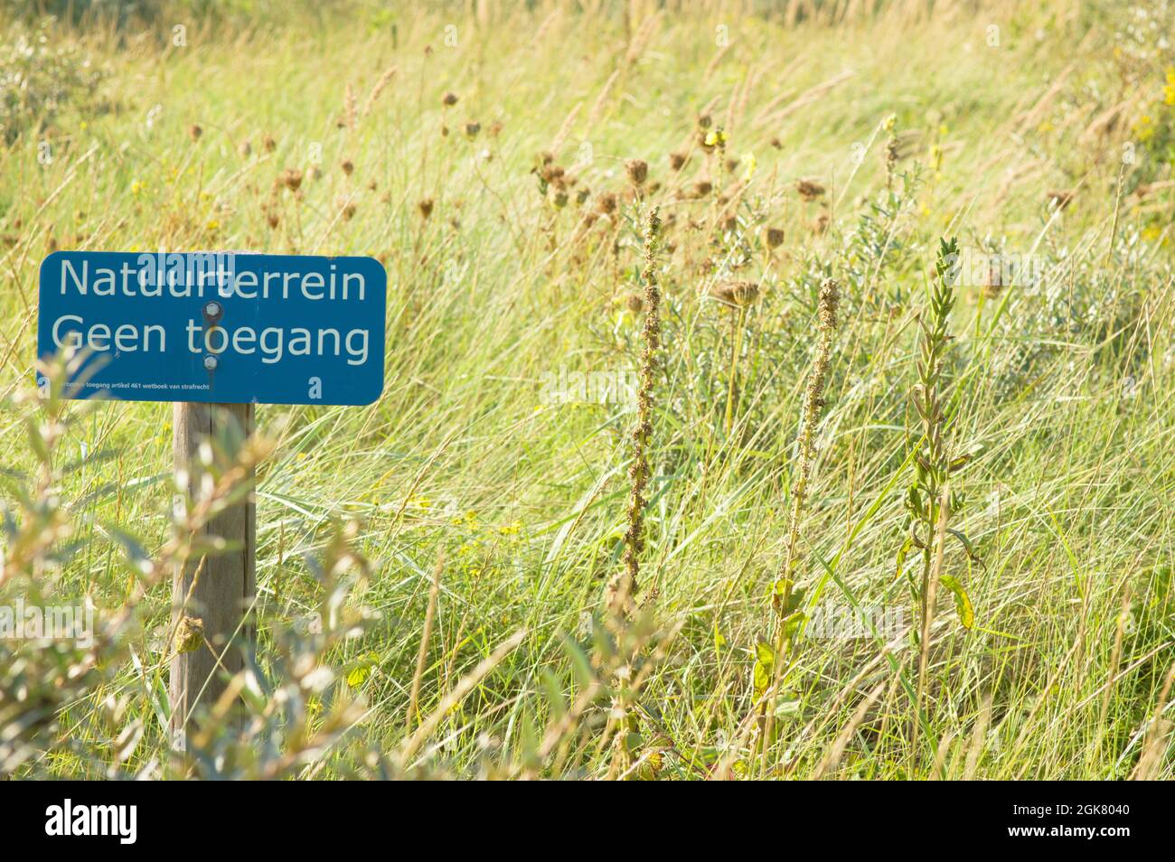Dutch blue no access sign, with nature in the background. Translation ...