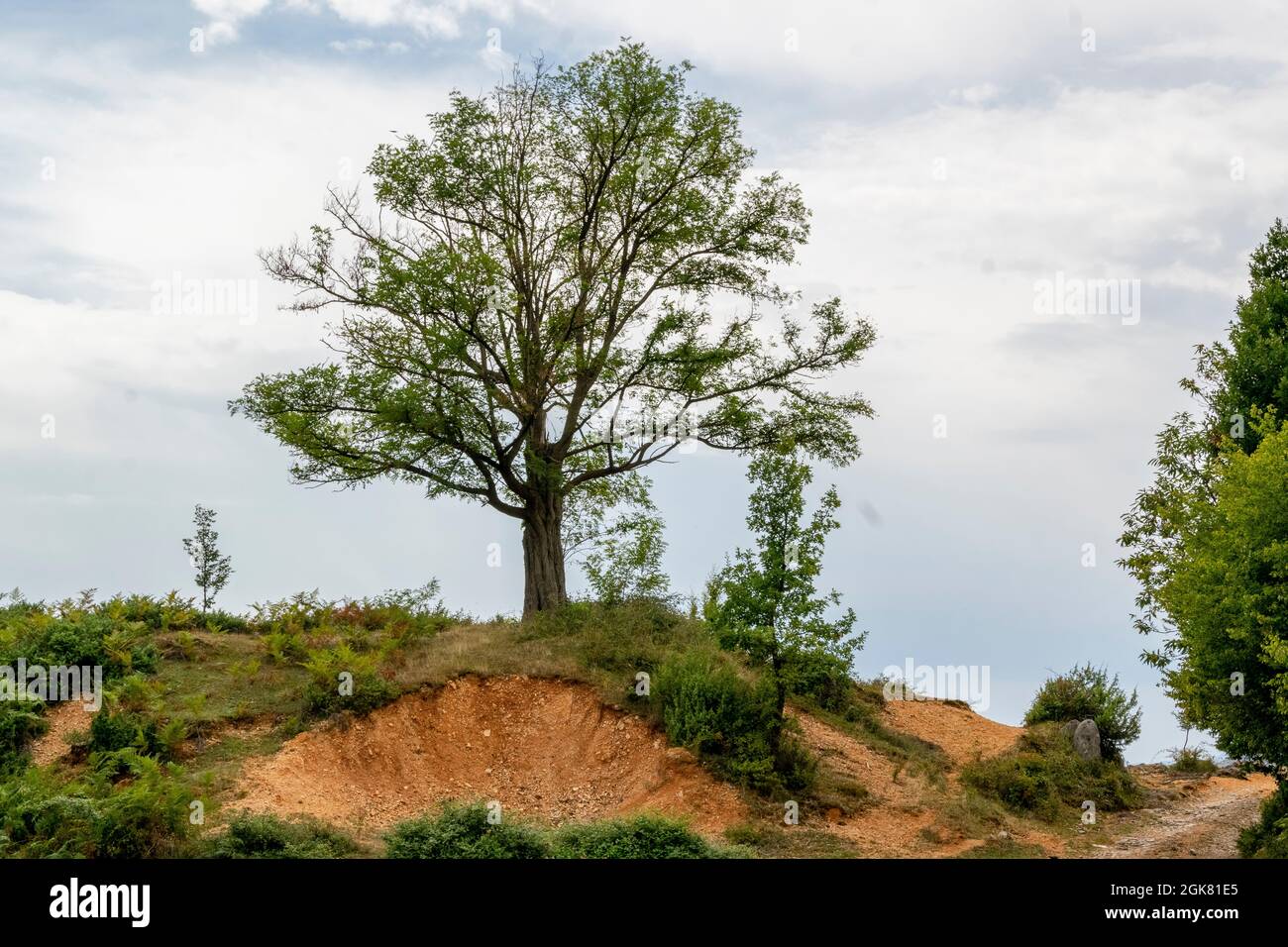 Albanian rural scene hi-res stock photography and images - Alamy