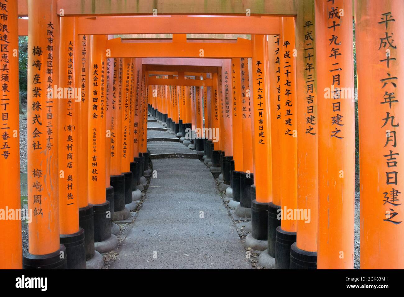 The Fushimi Inari Shinto shrine, a multitude of wooden pillars and ...