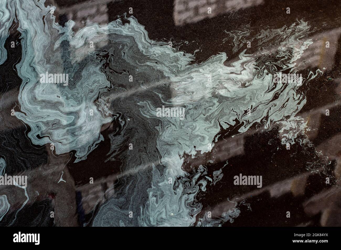 Pollen in a puddle. Beautiful stains in the water. Brownian motion of ...