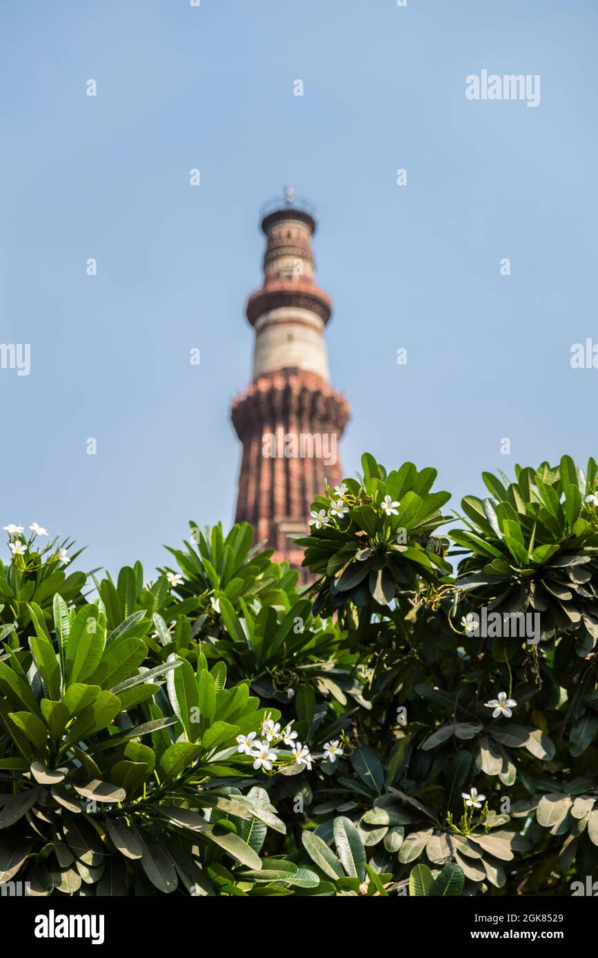 Qutub Minar at the Qutb Minar complex, New Delhi, India Stock Photo - Alamy