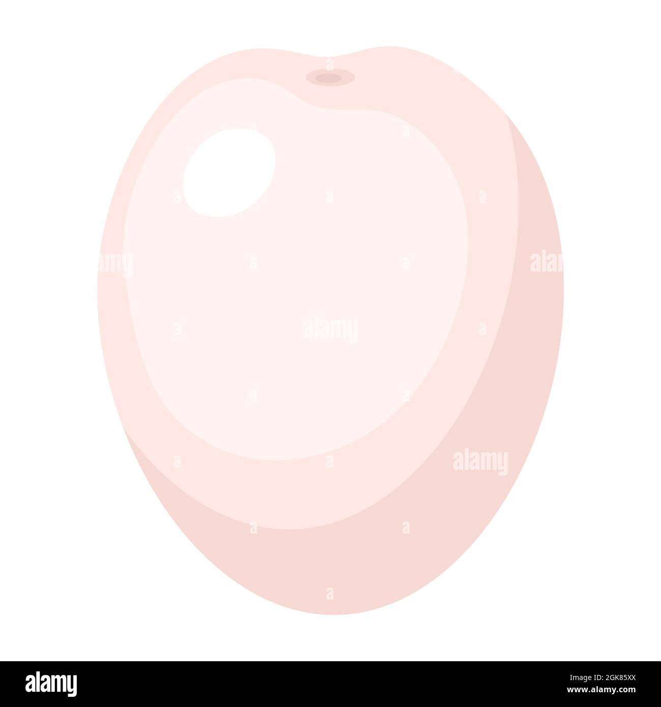 Lychee whole Stock Vector Images - Alamy