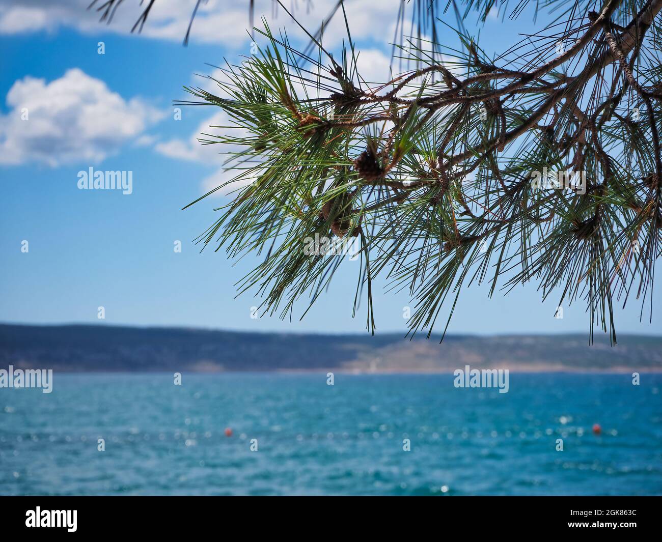 Beautiful blue seascape view on a sunny day Stock Photo - Alamy