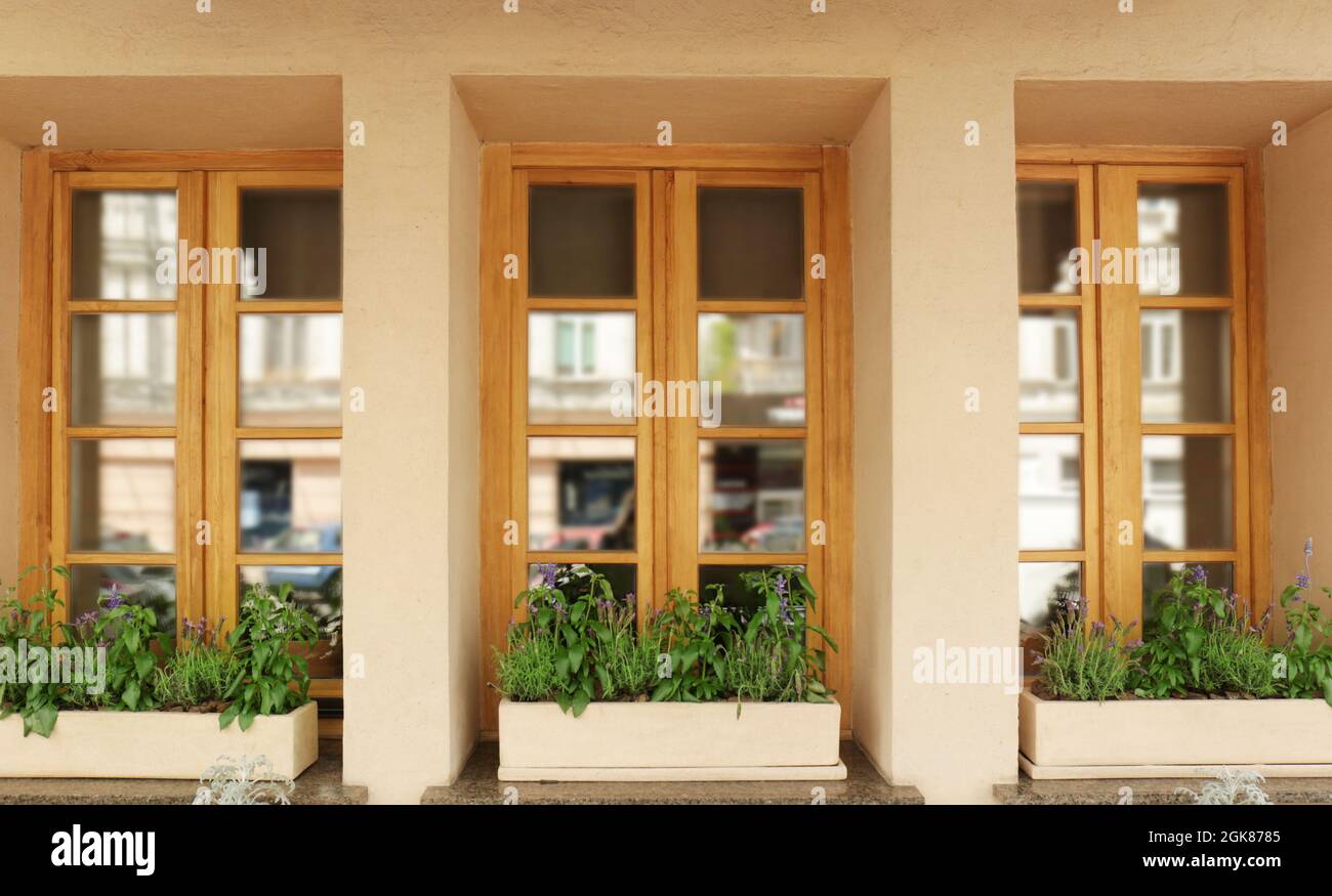 Modern wooden windows decorated with flowers Stock Photo - Alamy
