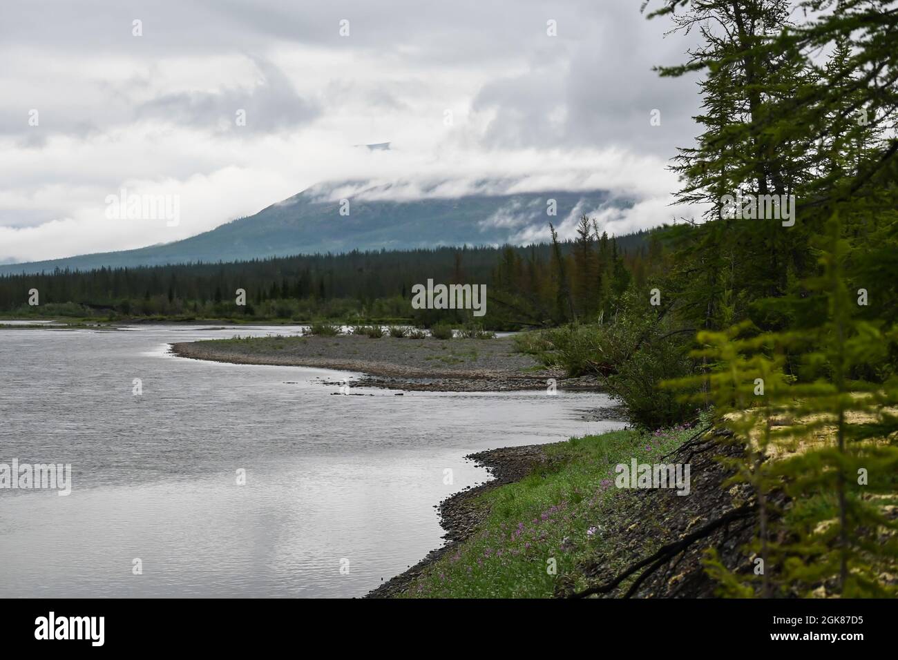 The Muksun River on the Putorana Plateau. River summer landscape of the ...