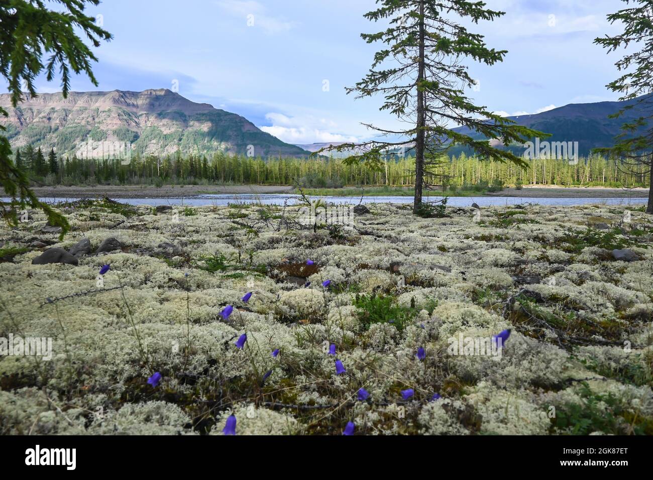 The Muksun River on the Putorana Plateau. River summer landscape of the ...