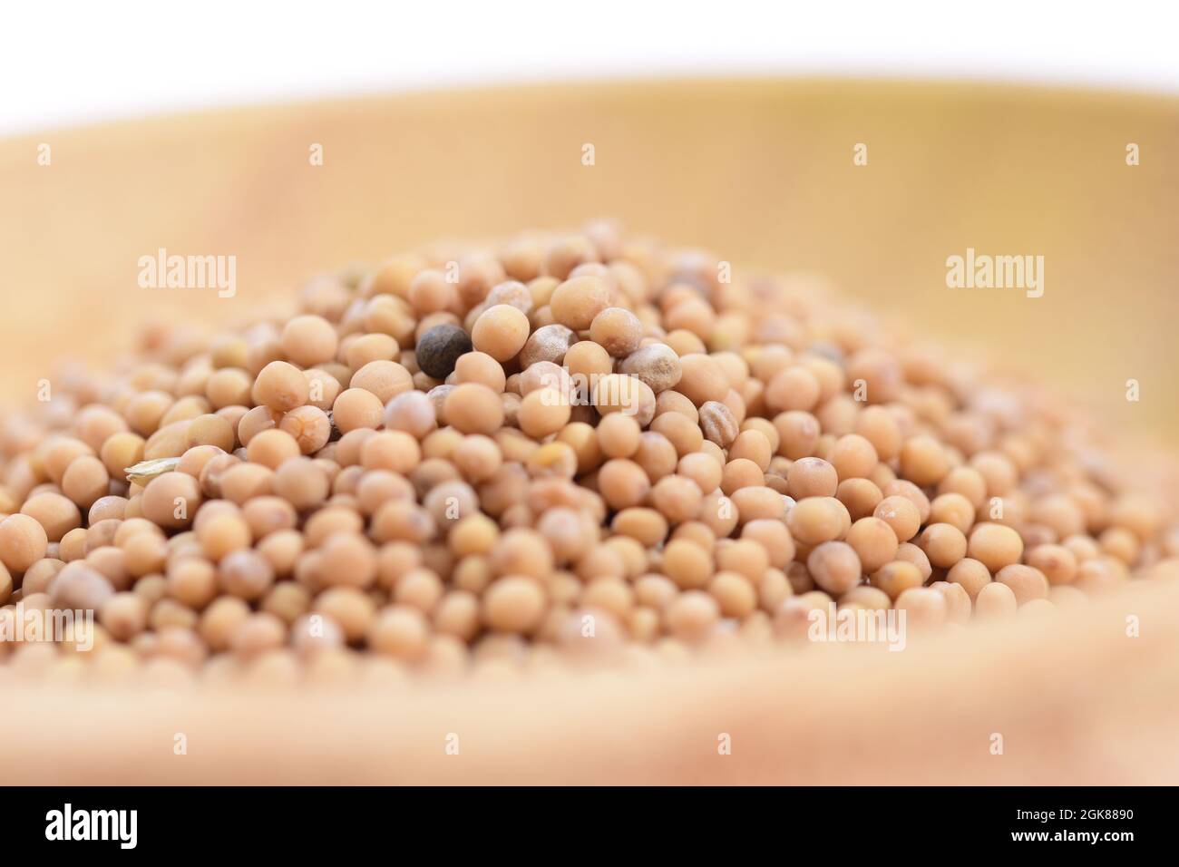 Seeds of sinapis alba in a wooden bowl on a white background, food ...