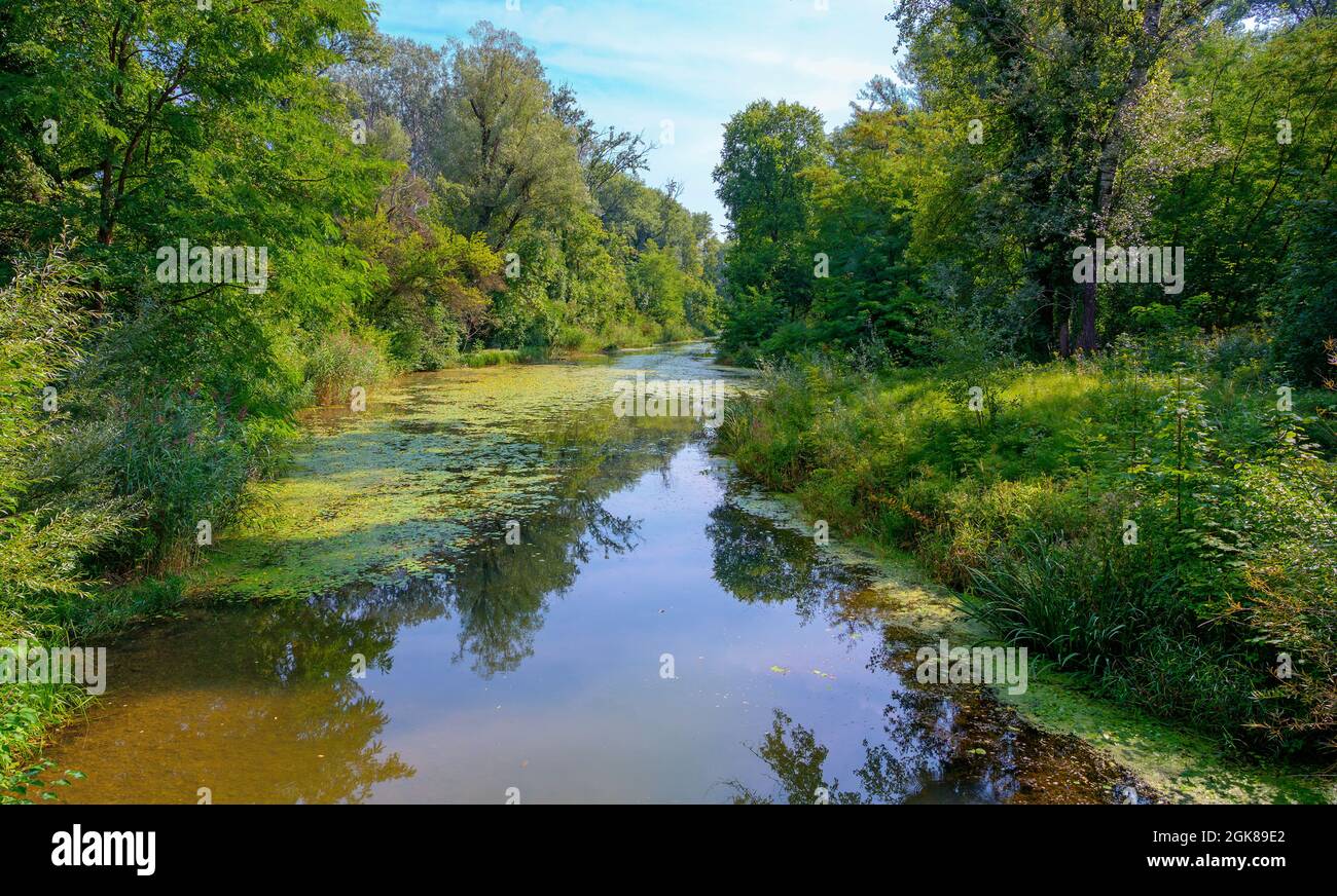 Riparian hi-res stock photography and images - Alamy