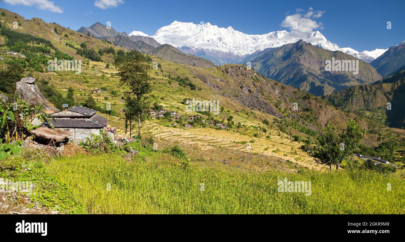 Beautiful green scenery nepal hi-res stock photography and images - Alamy