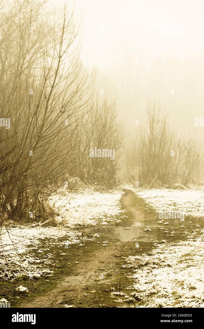White winter path hi-res stock photography and images - Alamy