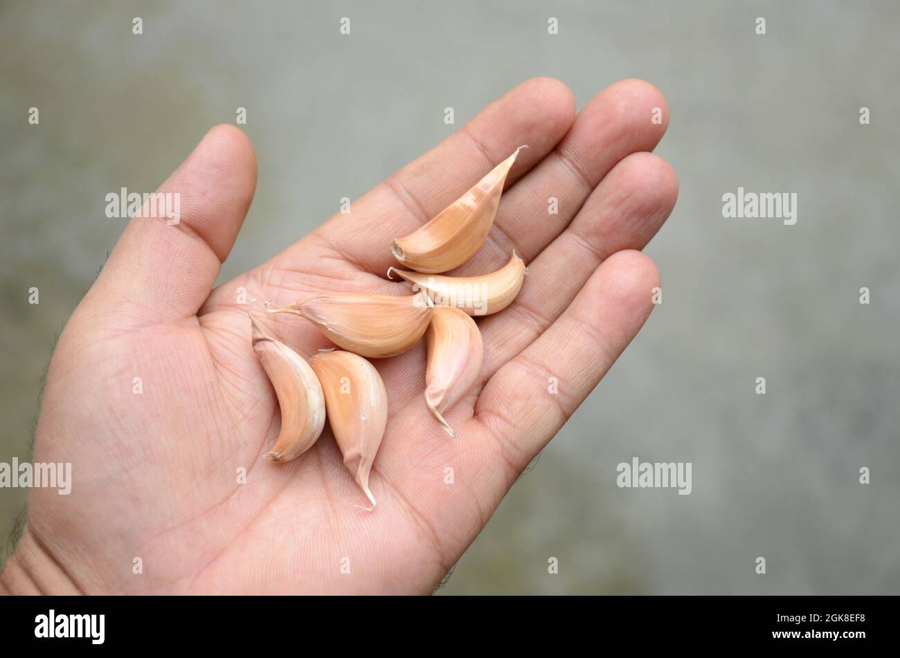 Hand holding cloves garlic hi-res stock photography and images - Alamy