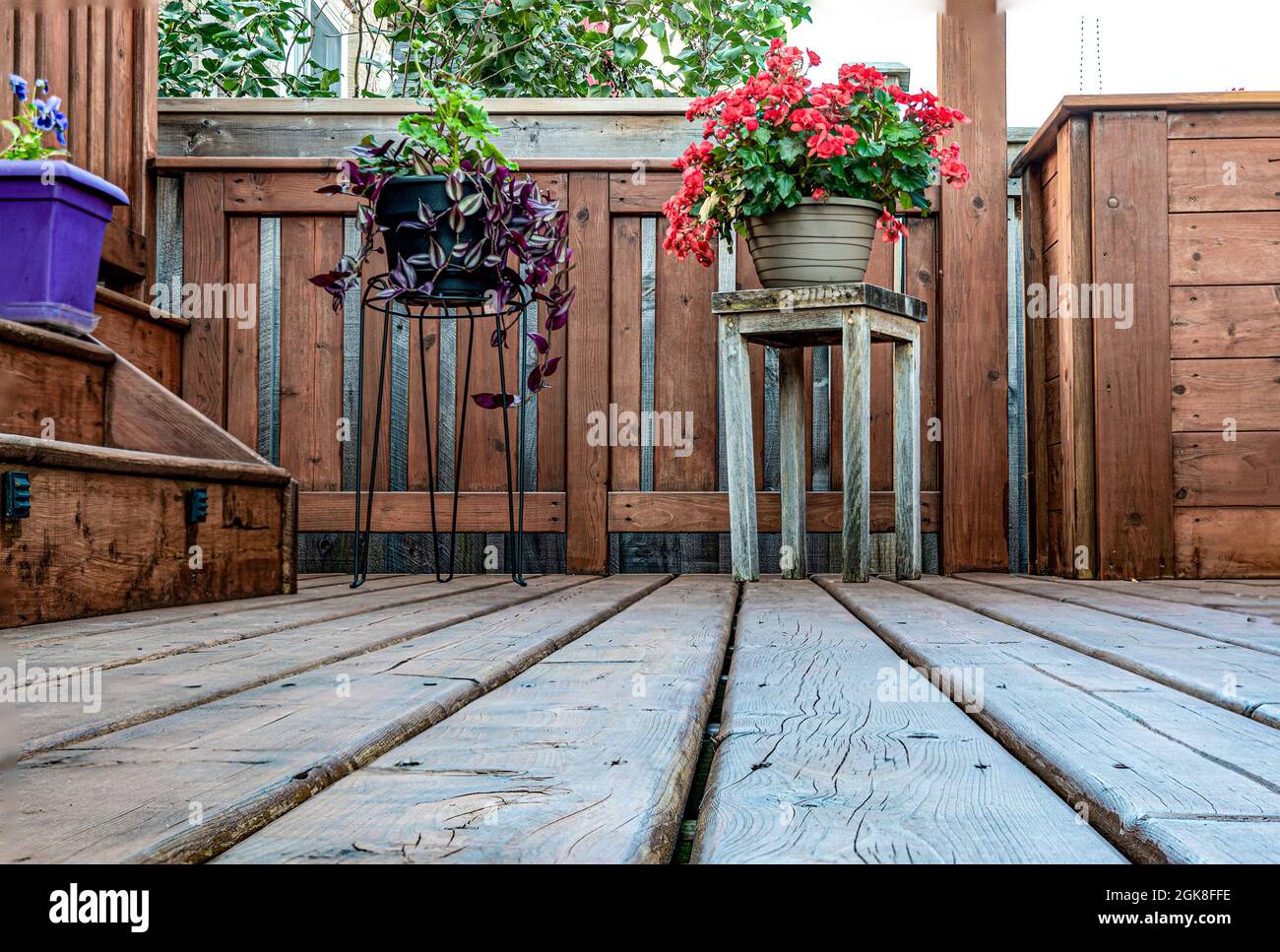 A vase with red flowers stands on a wooden veranda, on an old, vintage ...
