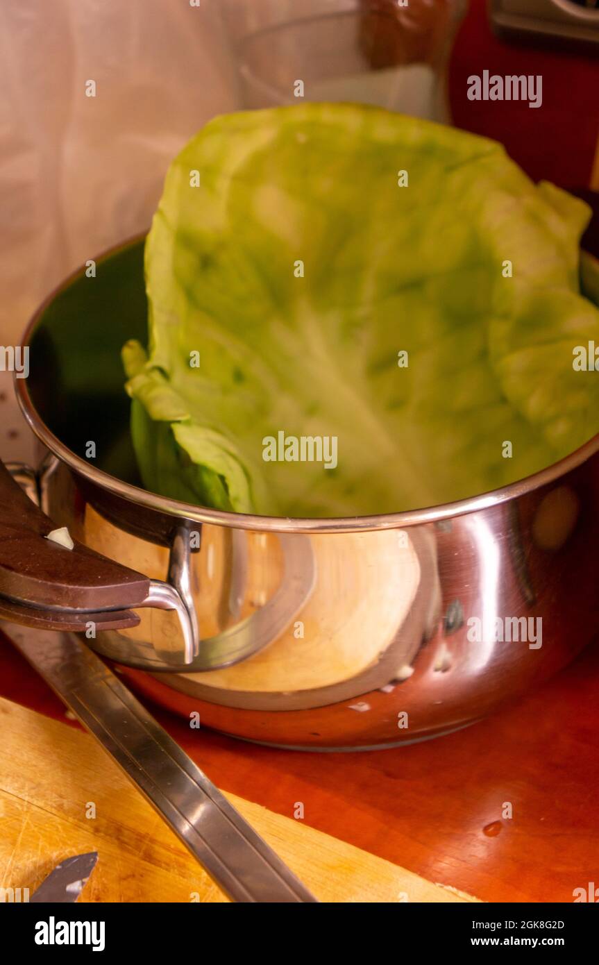 Closeup of the cabbage in the metal pot on the table Stock Photo - Alamy