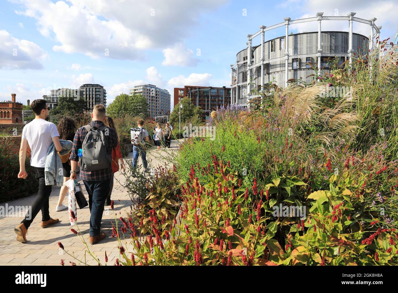 The lovely landscaping on Bagley Walk with the Gasholder apts beyond ...