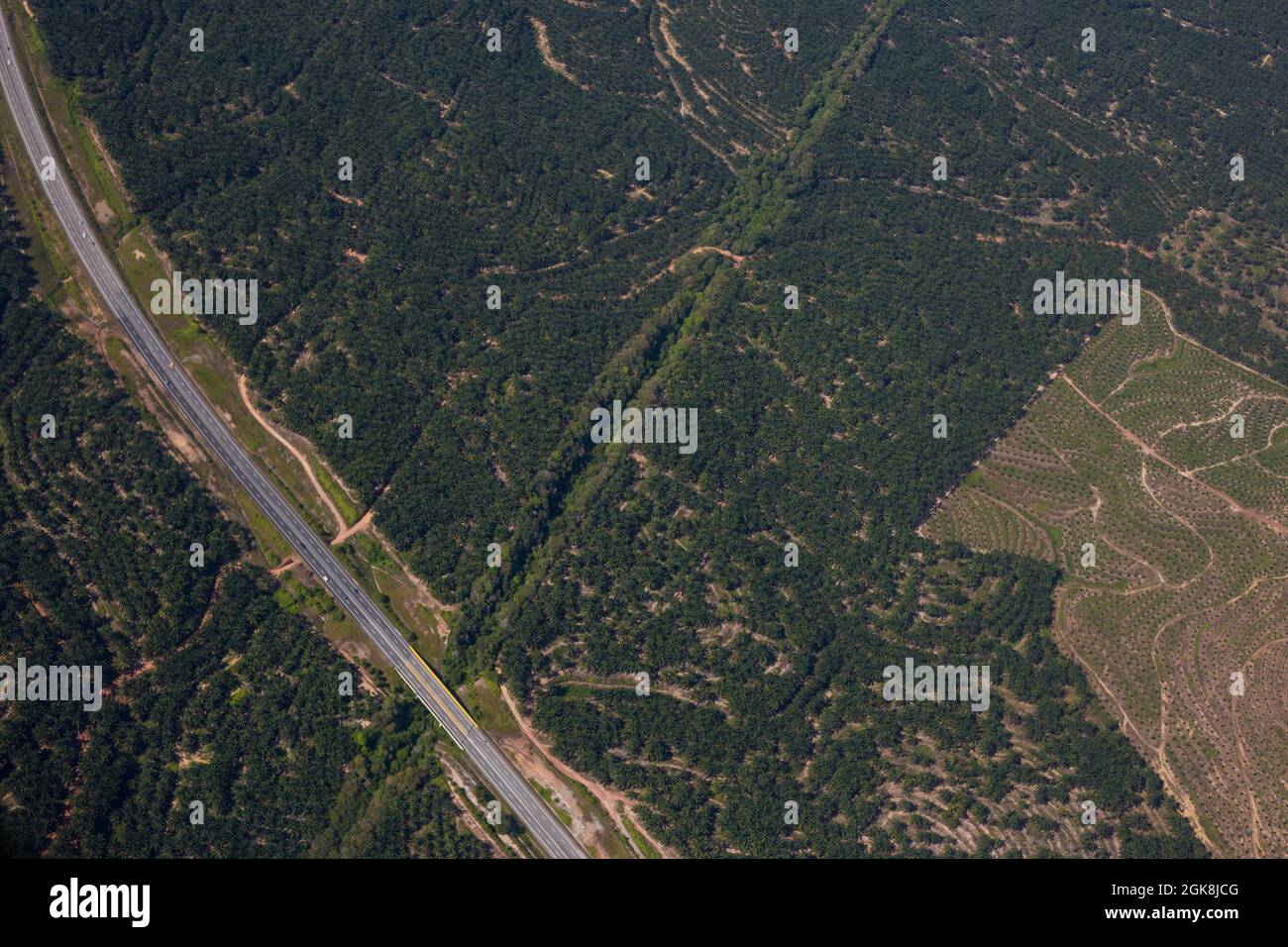 Aerial view of cars driving on asphalt roadway going between verdant ...