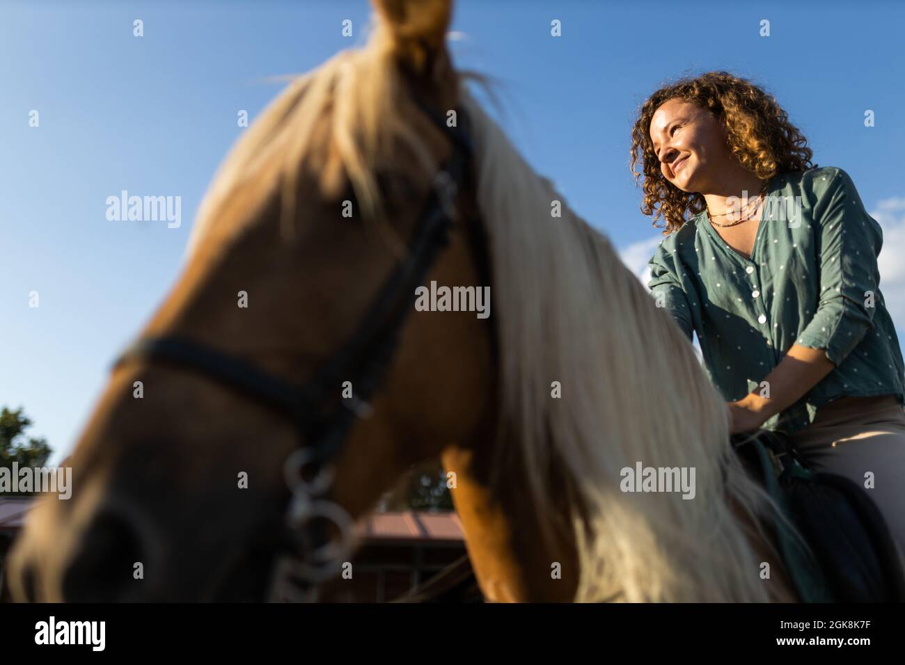From below side view of female riding stallion with smooth brown coat ...
