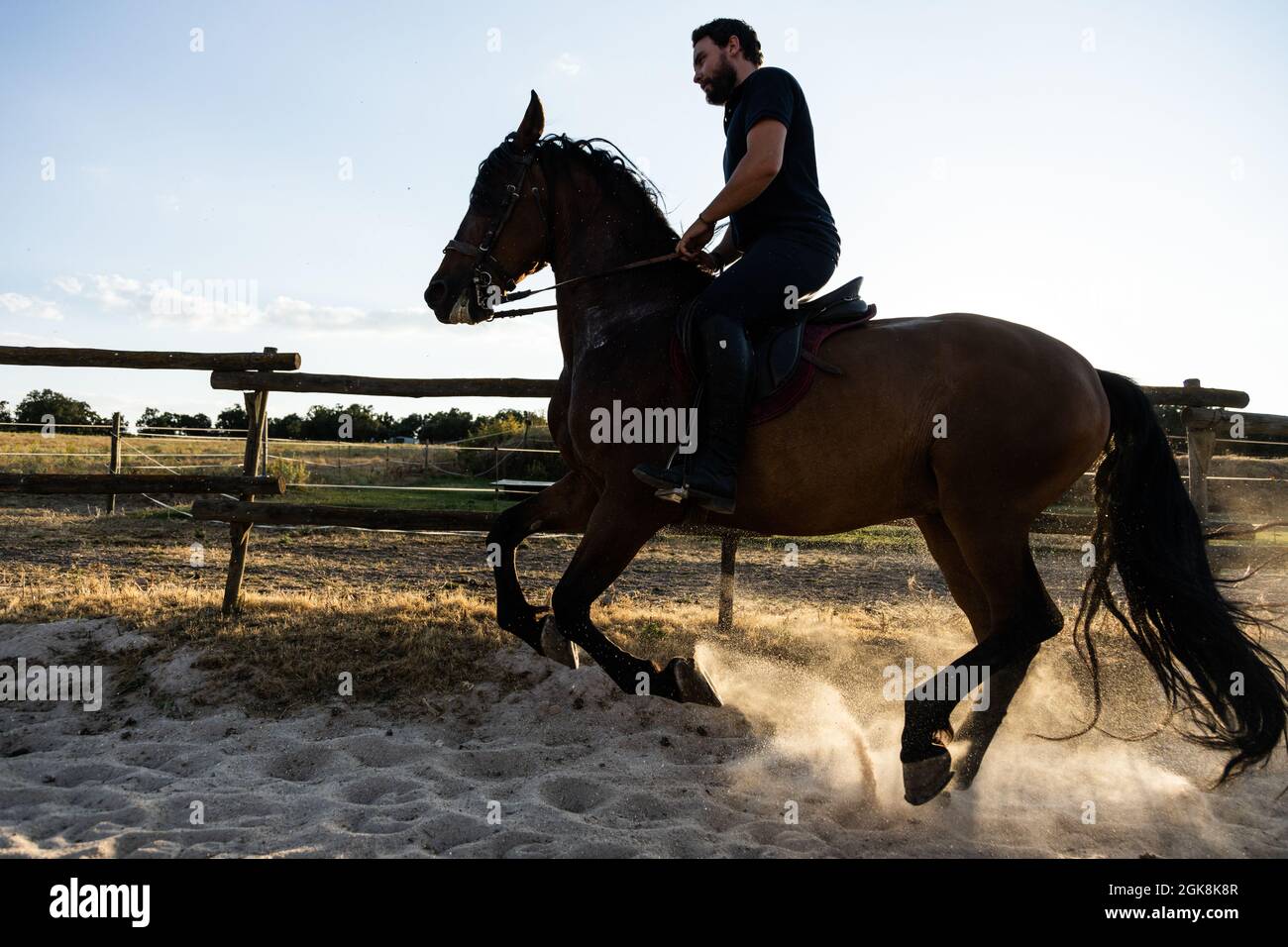 Side view of adult male riding stallion on sandy land with dust under ...
