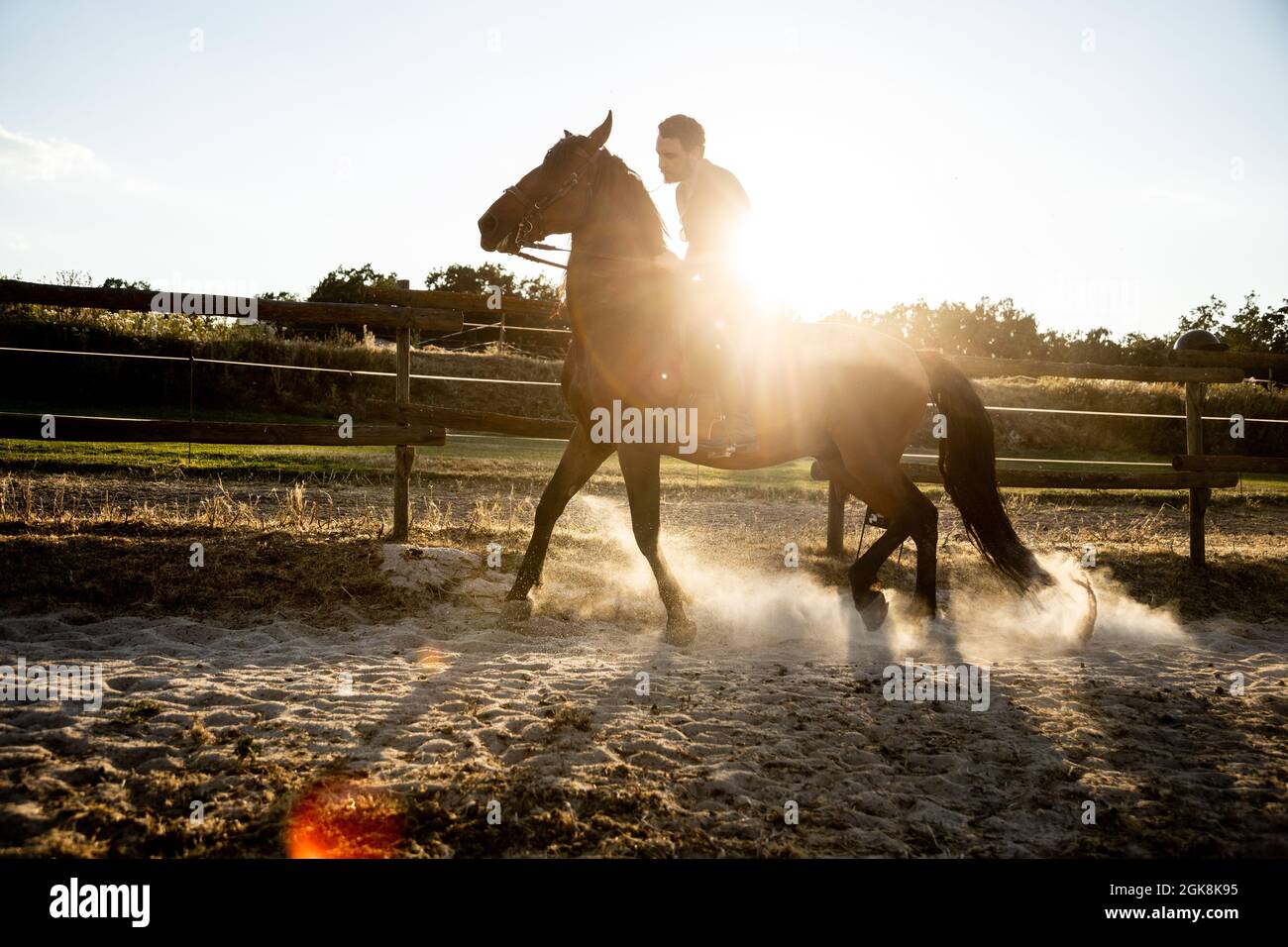 Side view of adult male riding stallion on sandy land with dust under ...