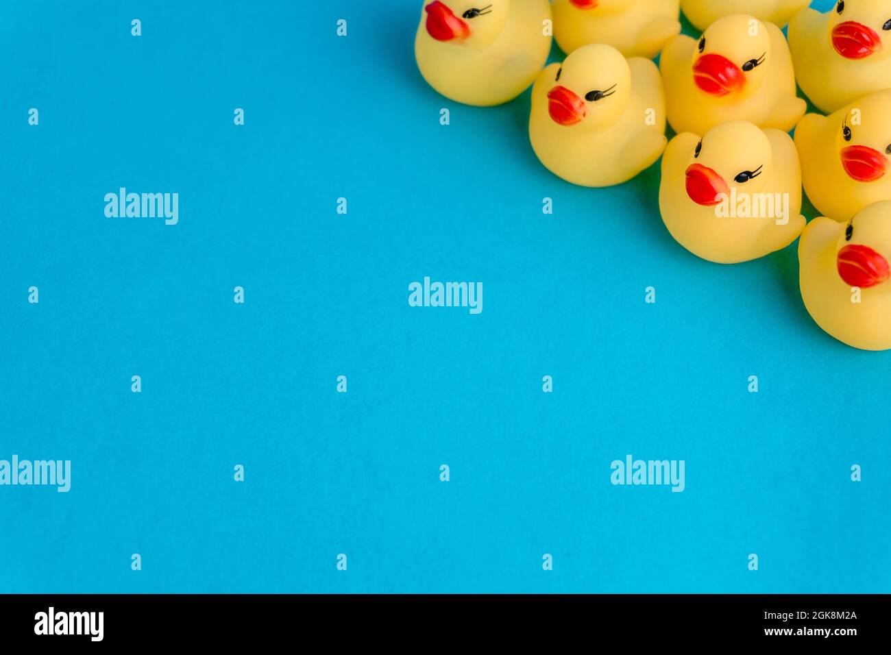Rubber duck from above hi-res stock photography and images - Alamy