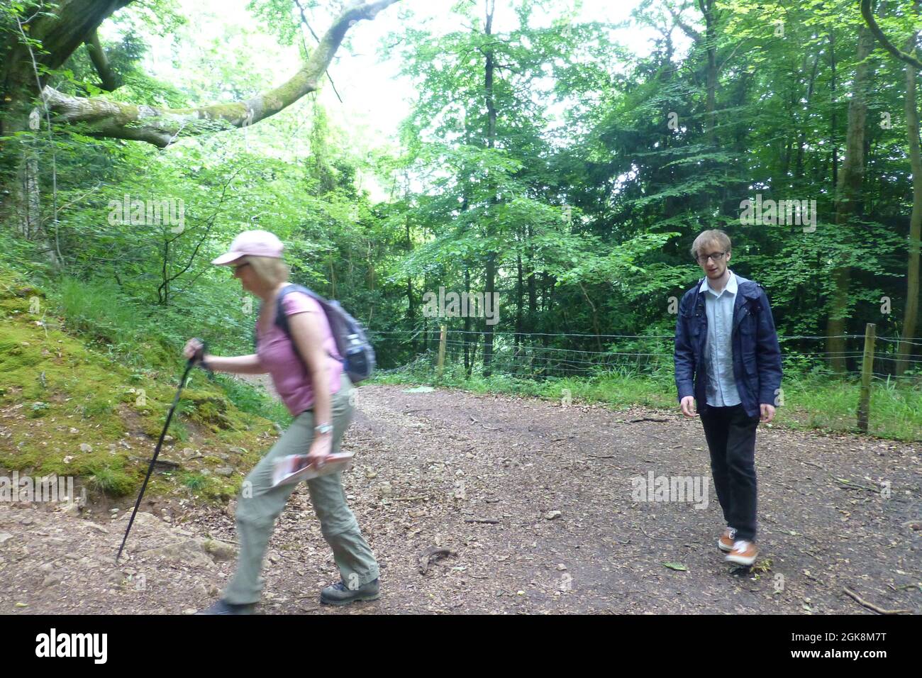 Symonds Yat Forest of Dean Gloucestershire UK walk walkers stick path gravel trees tree old hat ...