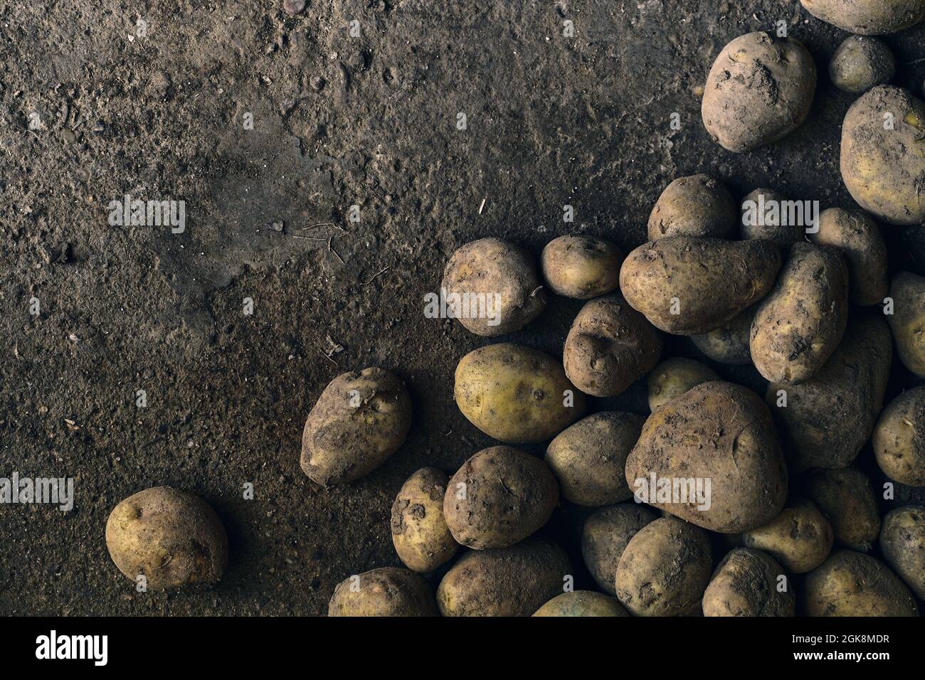 Potatoes soil top view hi-res stock photography and images - Alamy