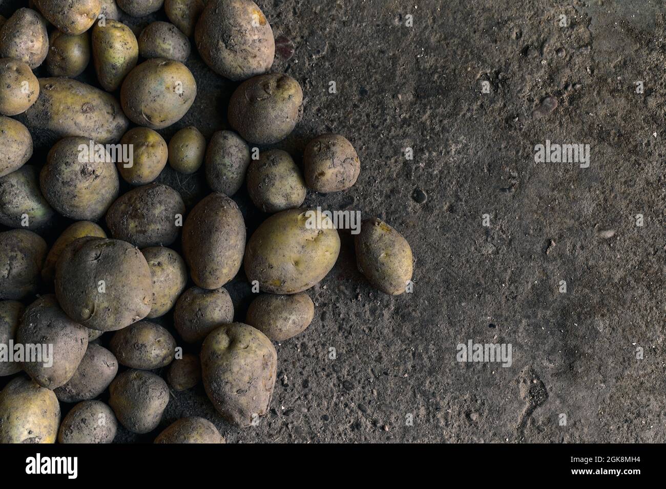 Soil potato plant top view hi-res stock photography and images - Alamy