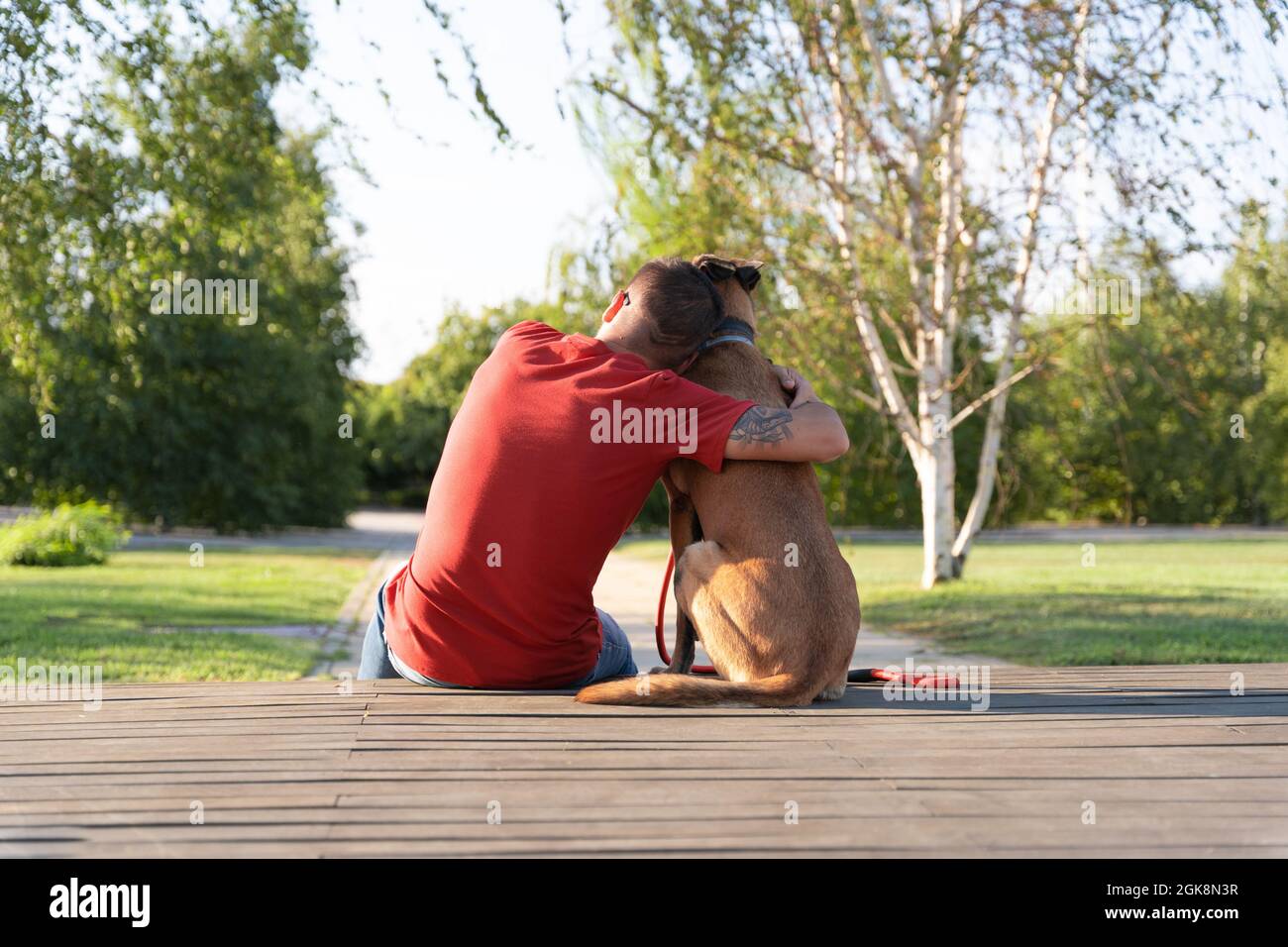 Back view of anonymous tattooed male embracing Malinois on wooden ...
