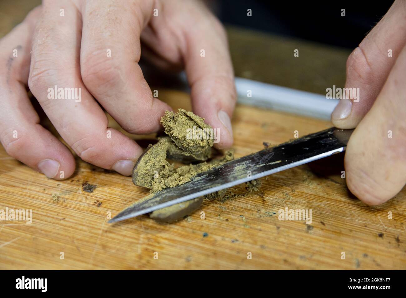 Crop unrecognizable male with knife cutting dried cannabis plant piece ...